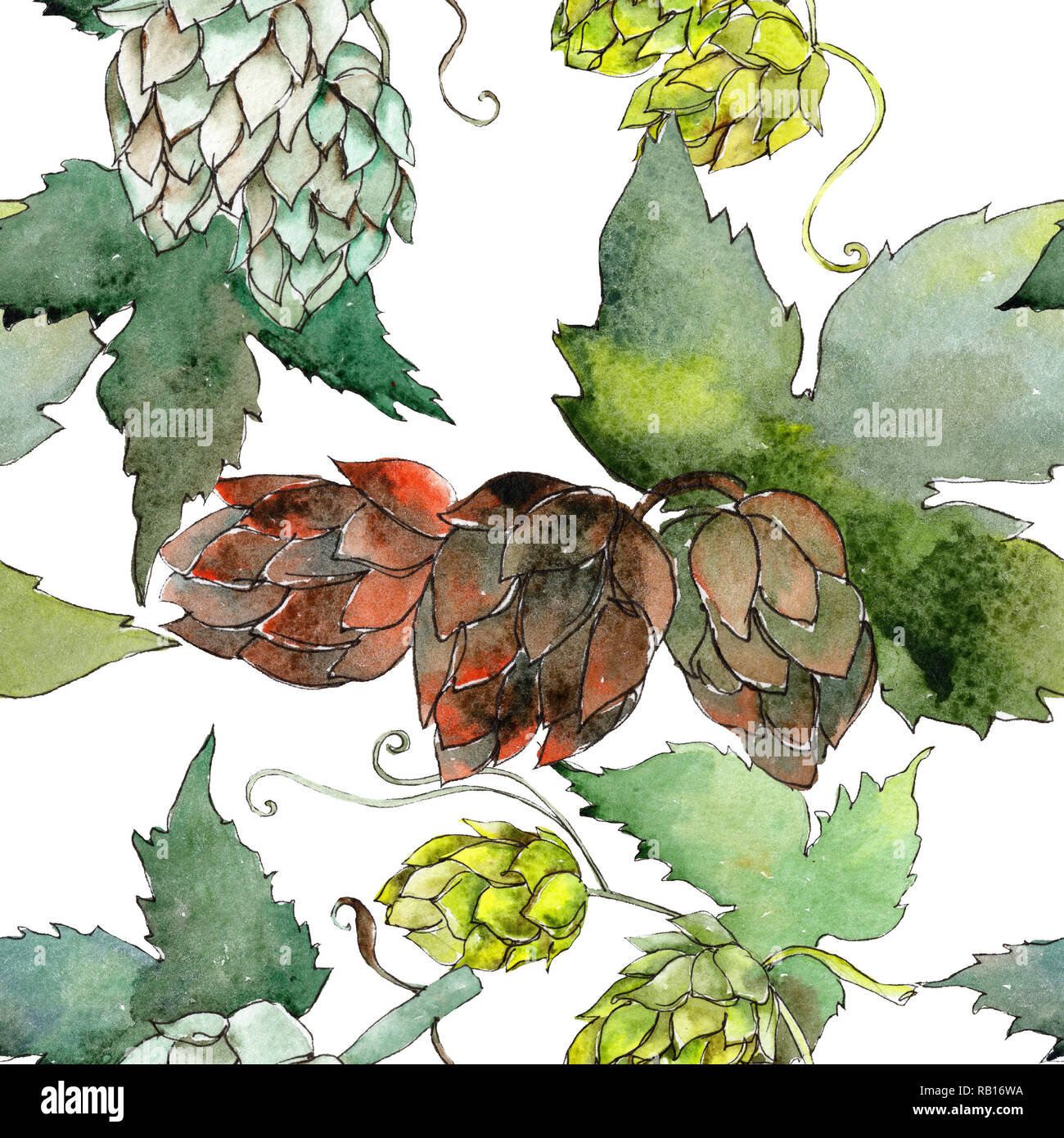 Green hops. Watercolor background illustration set. Seamless background ...