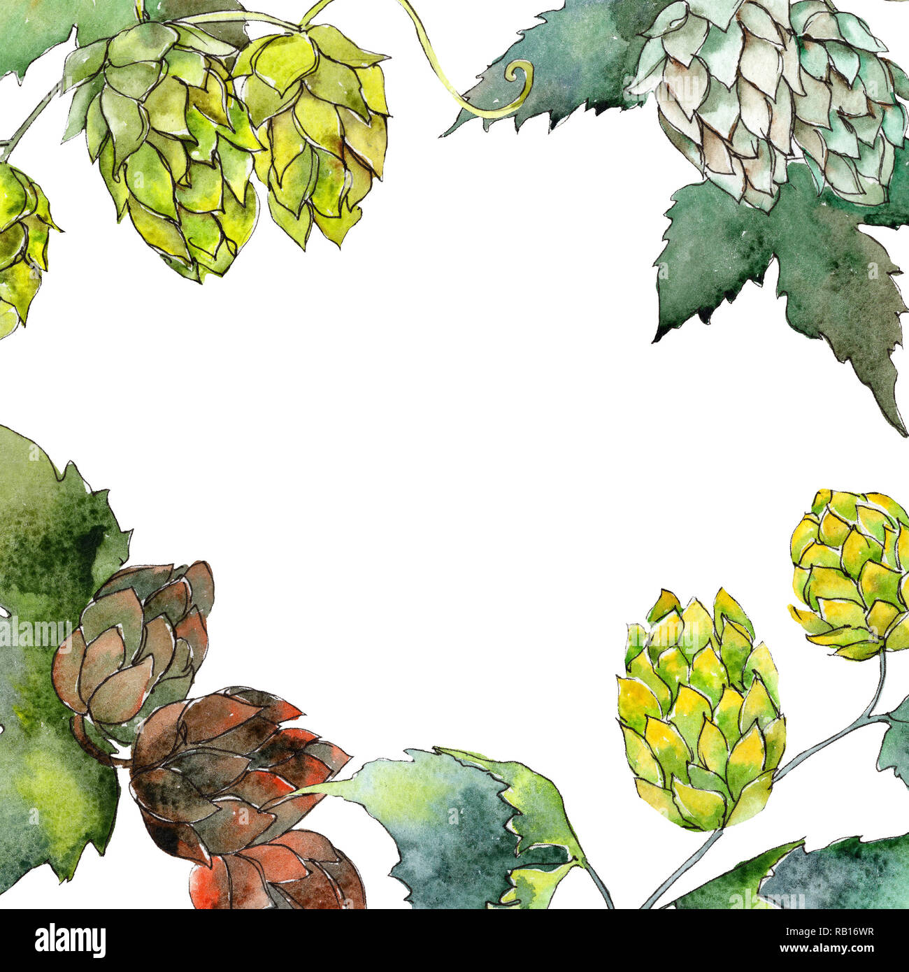 Green hops. Watercolor background illustration set. Frame border ...