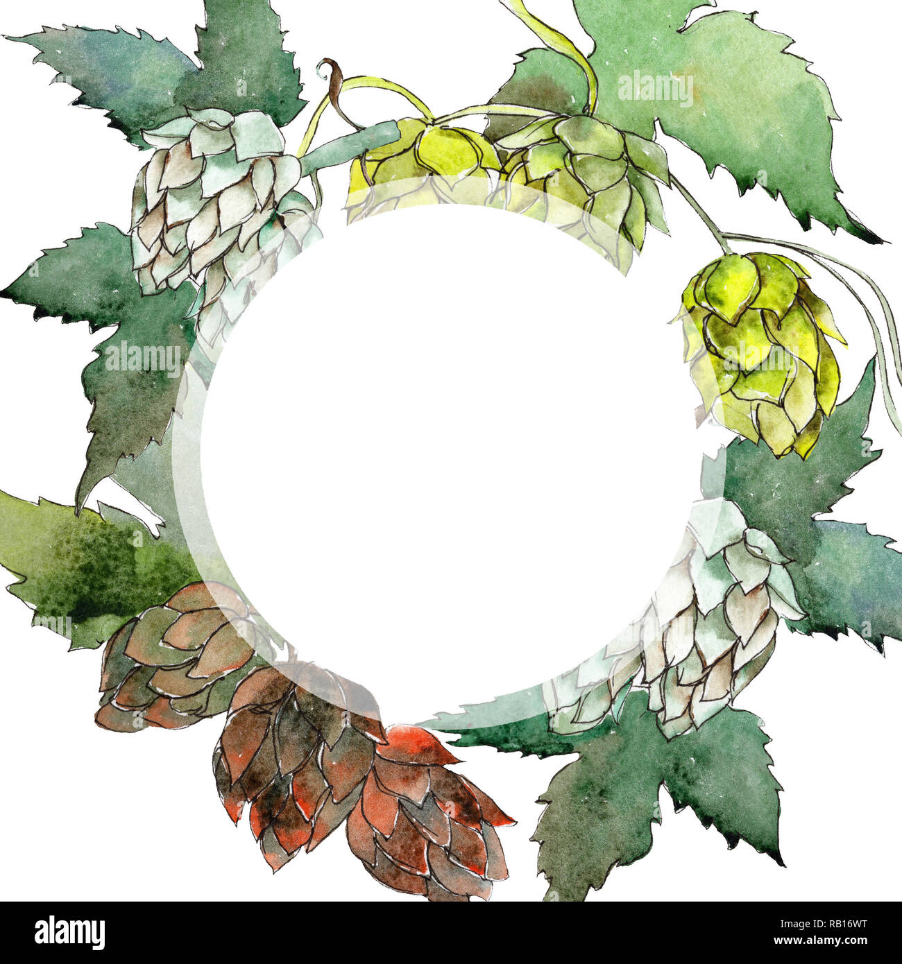 Ornamental hop leaf hi-res stock photography and images - Alamy