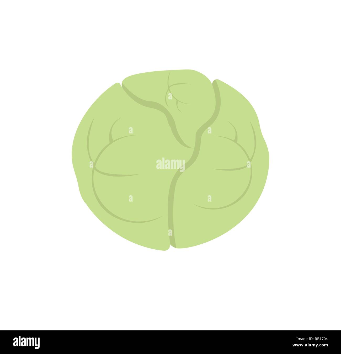 Cabbage icon on white background for graphic and web design, Modern ...