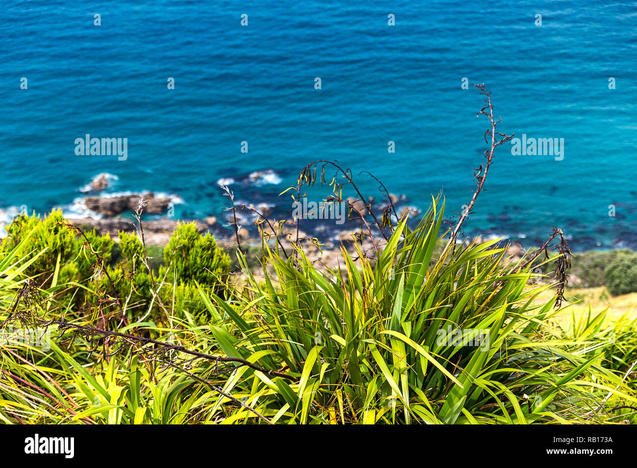 Green grass on the hill with a rocky coast of the ocean in the ...