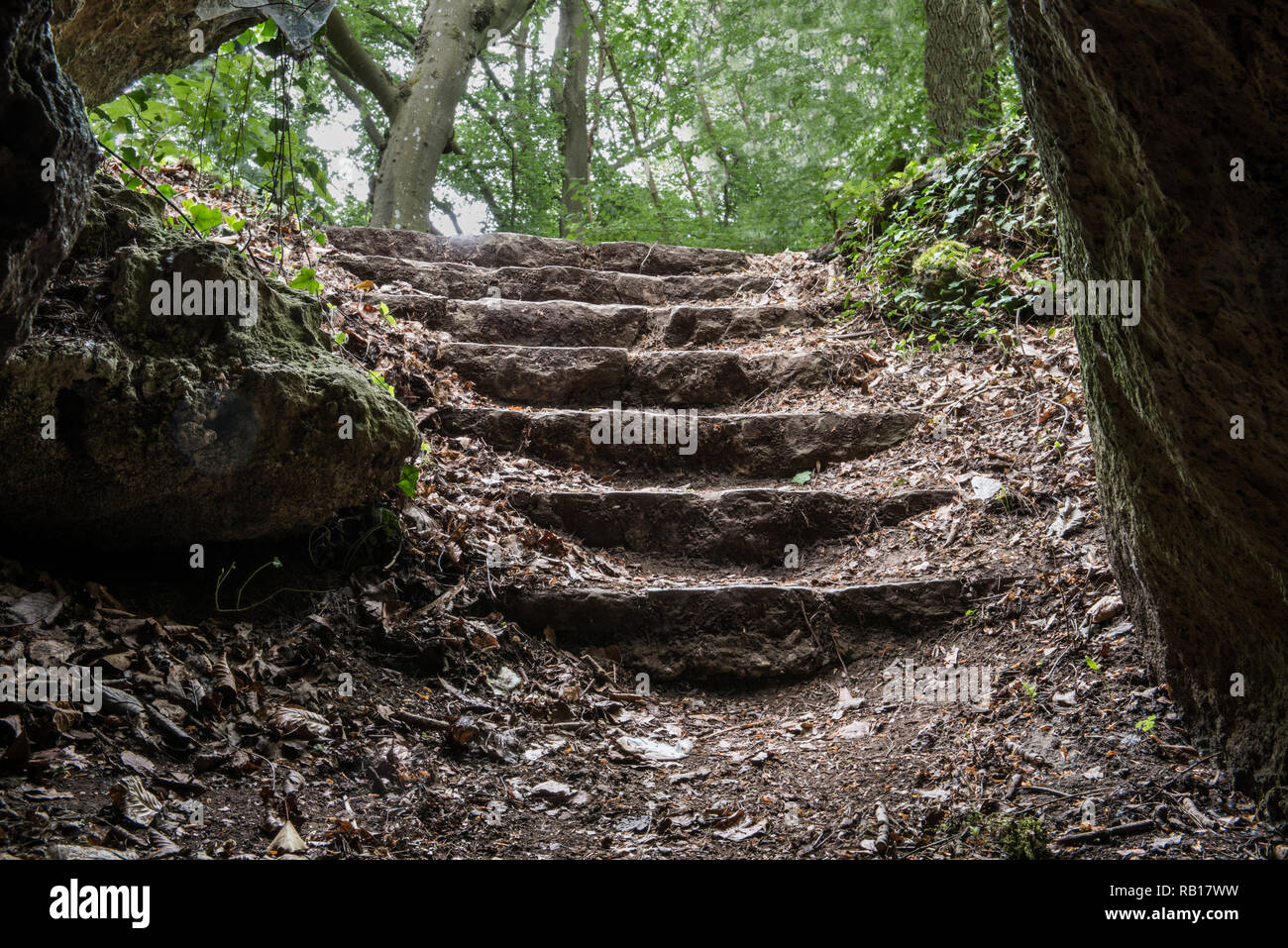 Out of a cave hi-res stock photography and images - Alamy