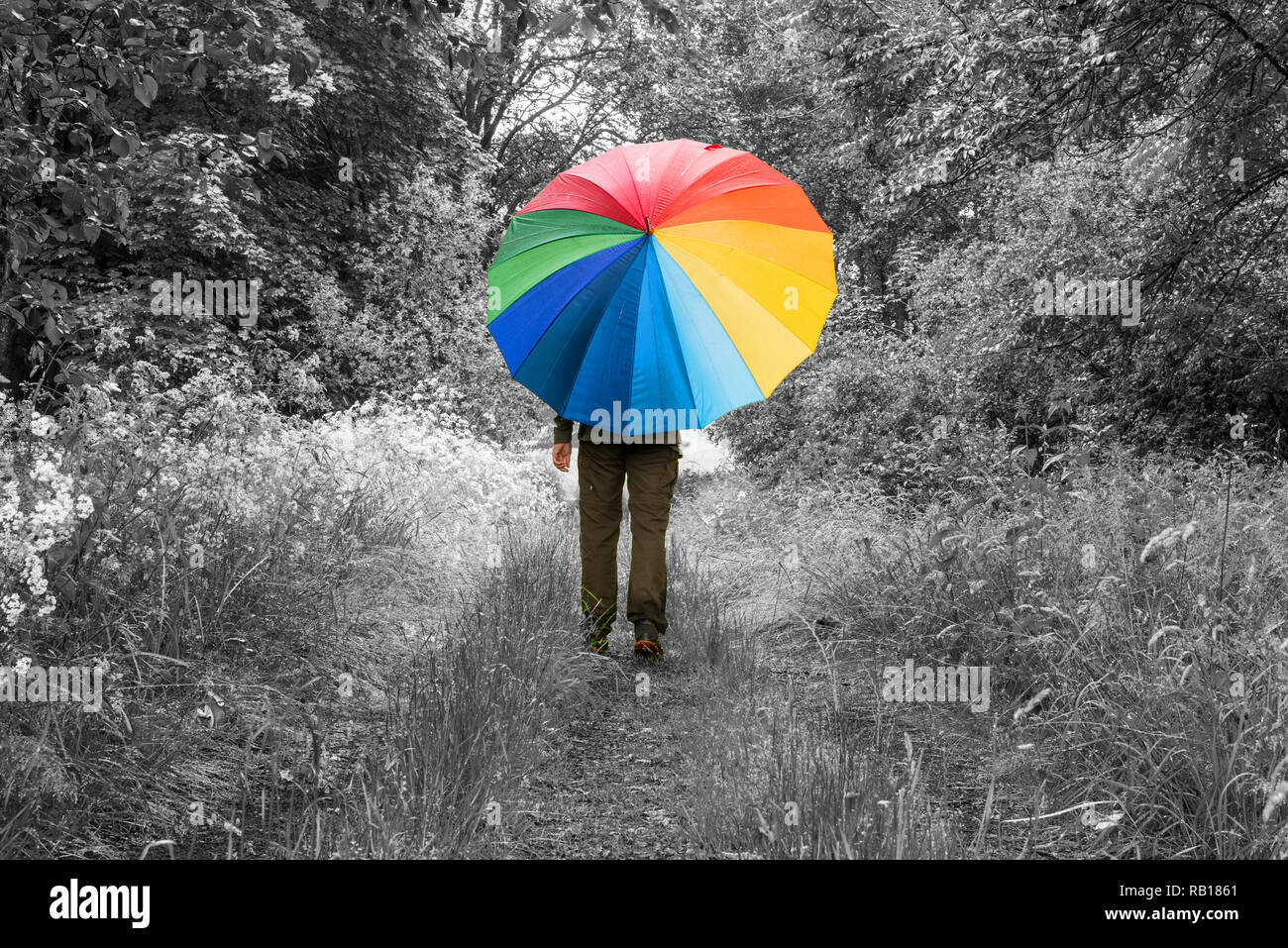 Person in the rain umbrella hi-res stock photography and images - Alamy