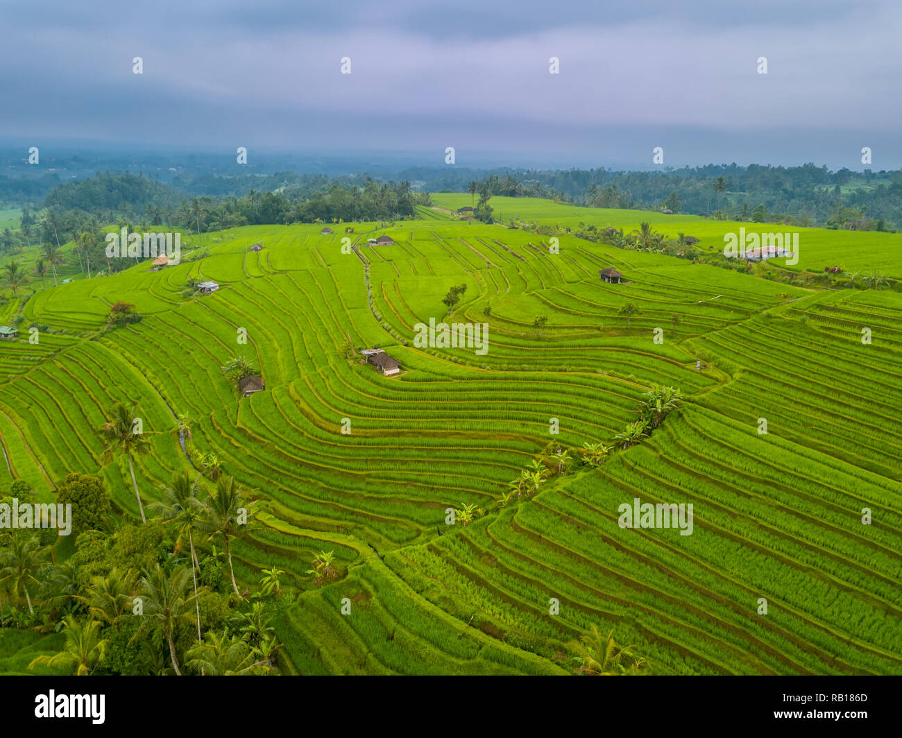 Rice paddies aerial hi-res stock photography and images - Alamy