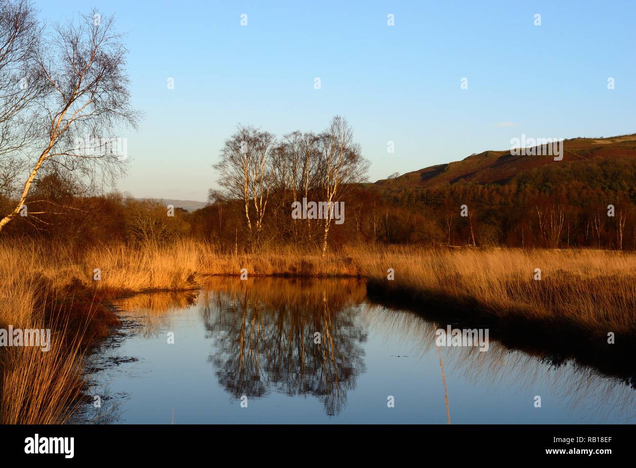 Habitats nature hi-res stock photography and images - Alamy
