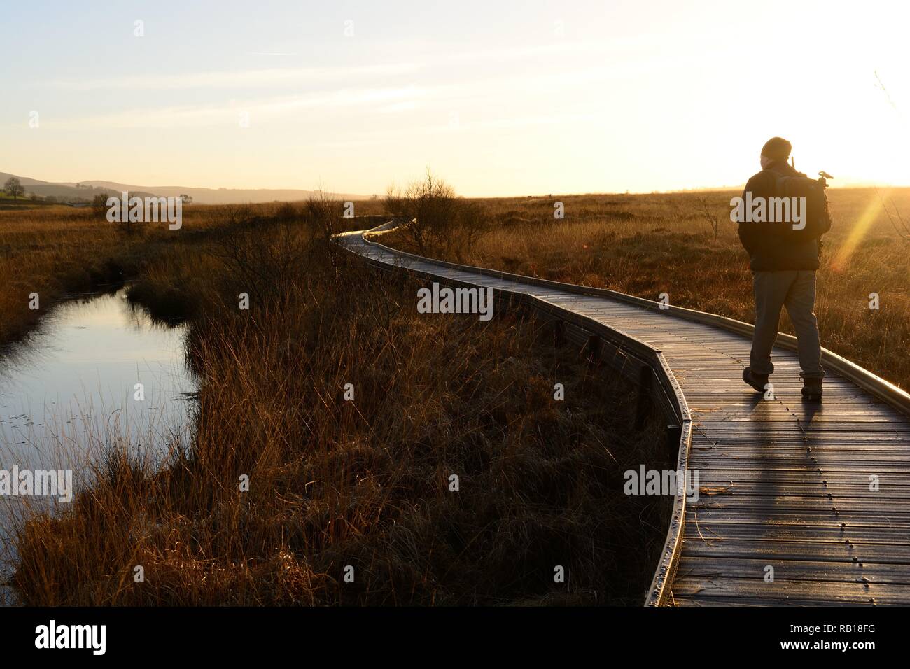 Nature walk boardwalk hi-res stock photography and images - Alamy