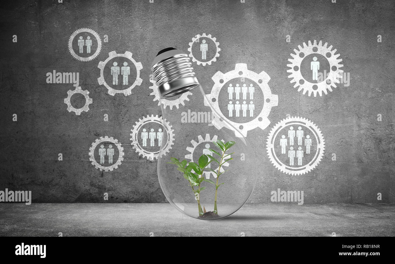 Green plant inside lightbulb Stock Photo - Alamy