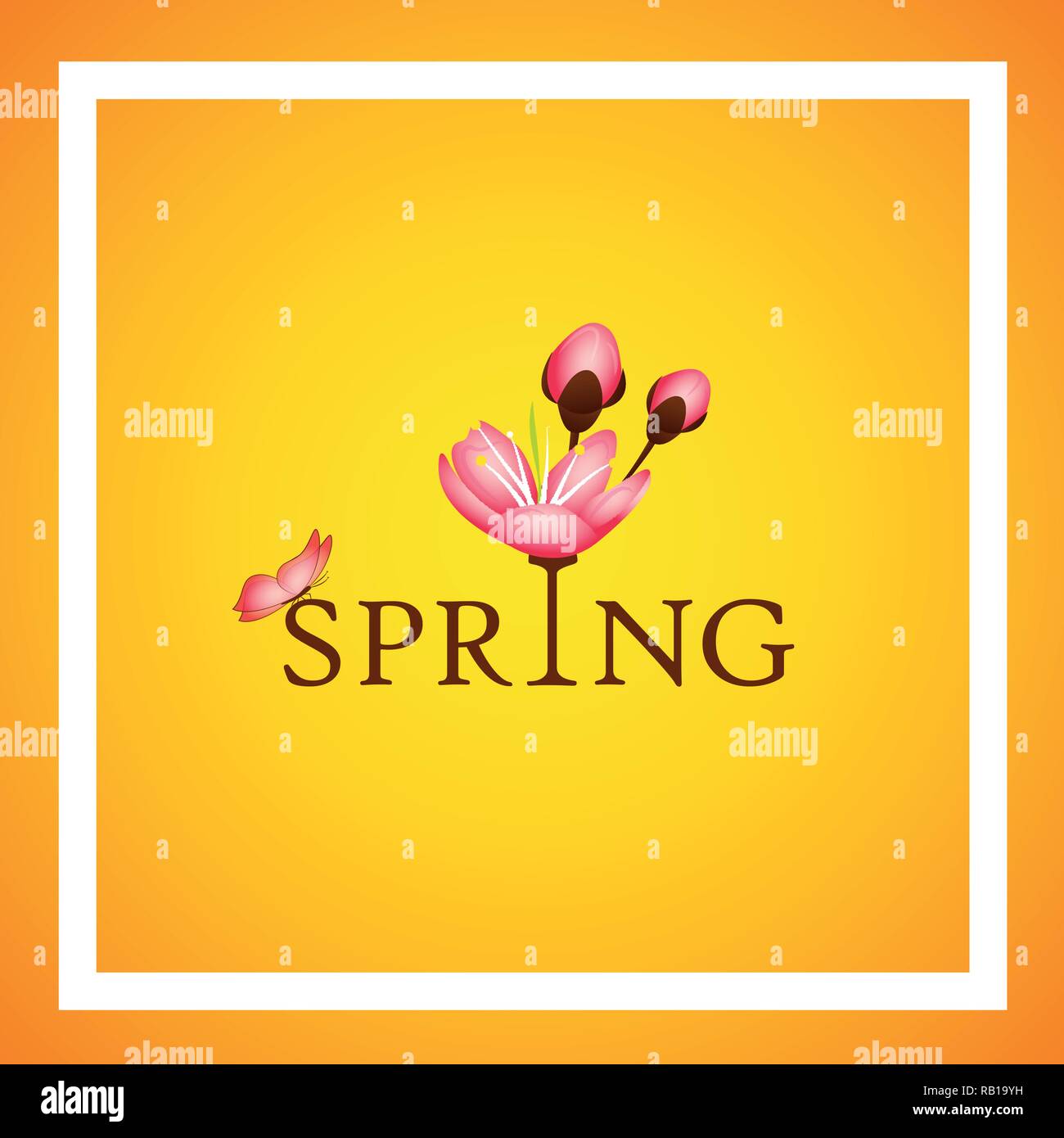 Pink cherry blossom on Stock Vector Images - Alamy