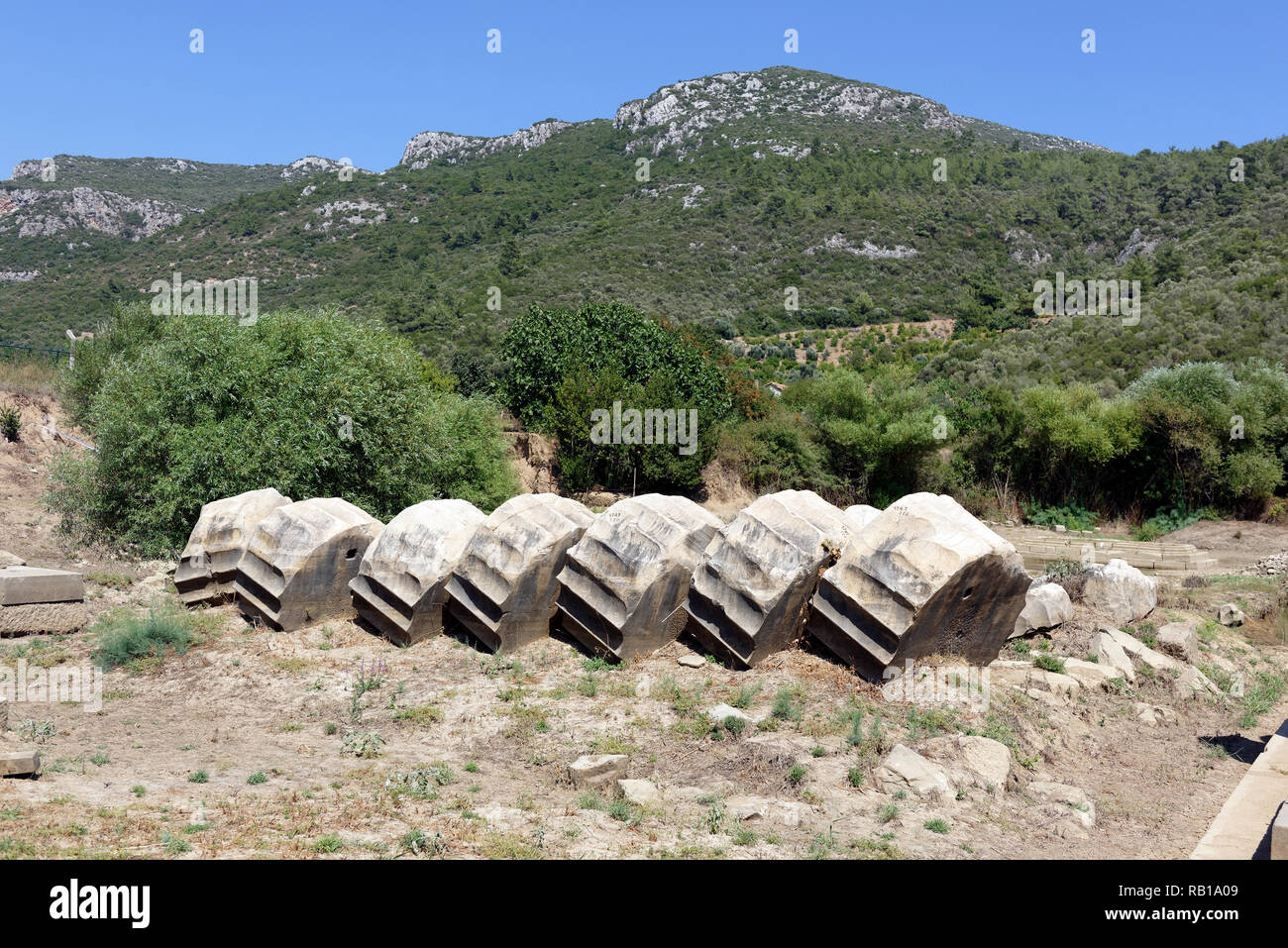 Column drums of the Temple of Apollo, ancient Greek sanctuary of Apollo ...