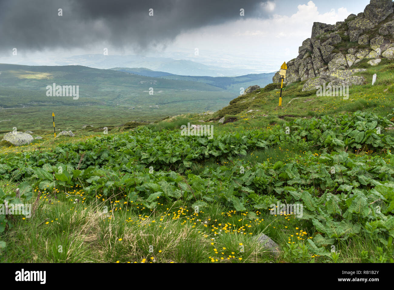 Landscape of Vitosha Mountain from Cherni Vrah Peak, Sofia City Region ...