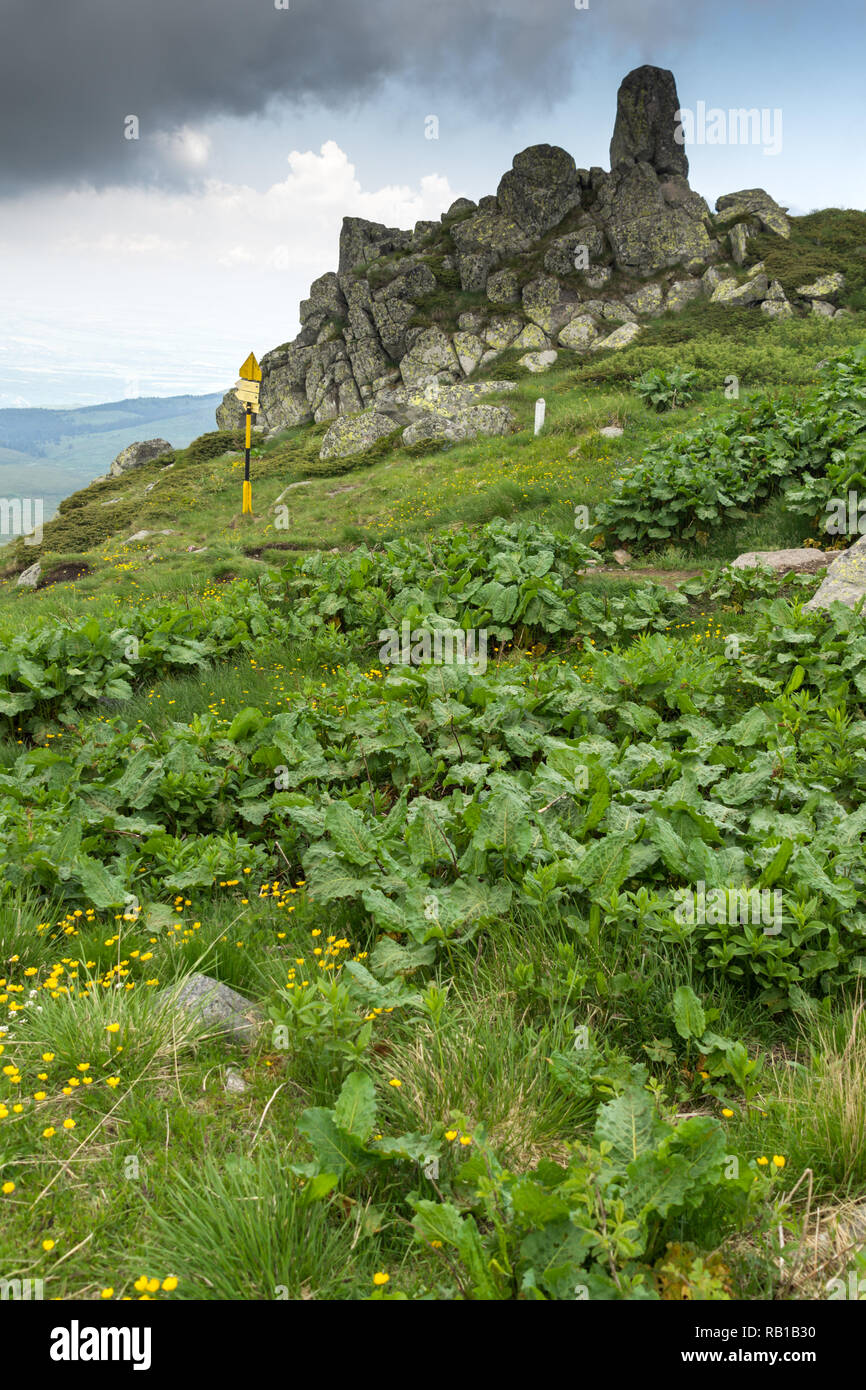 Landscape of Vitosha Mountain from Cherni Vrah Peak, Sofia City Region ...