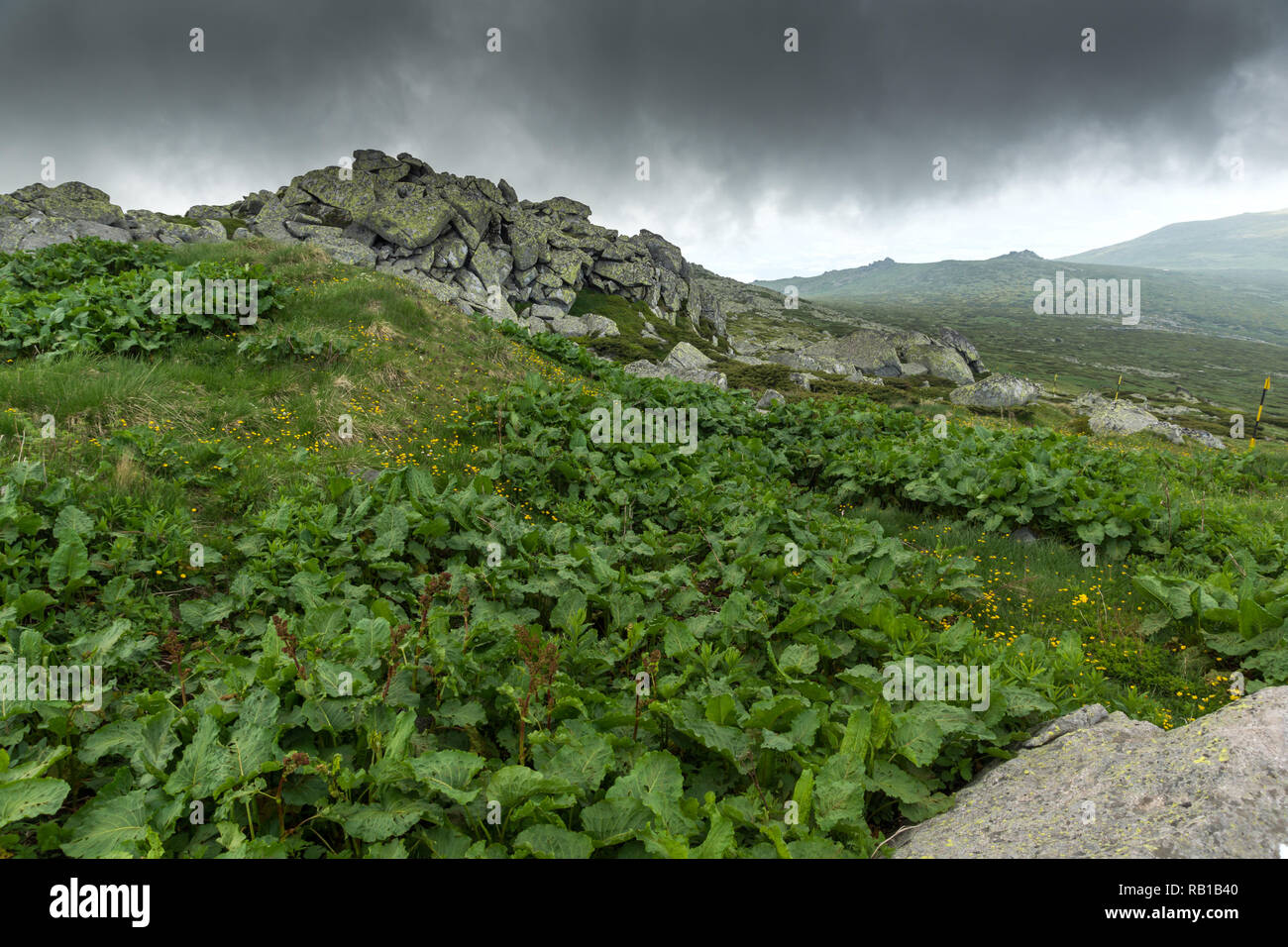 Landscape of Vitosha Mountain from Cherni Vrah Peak, Sofia City Region ...