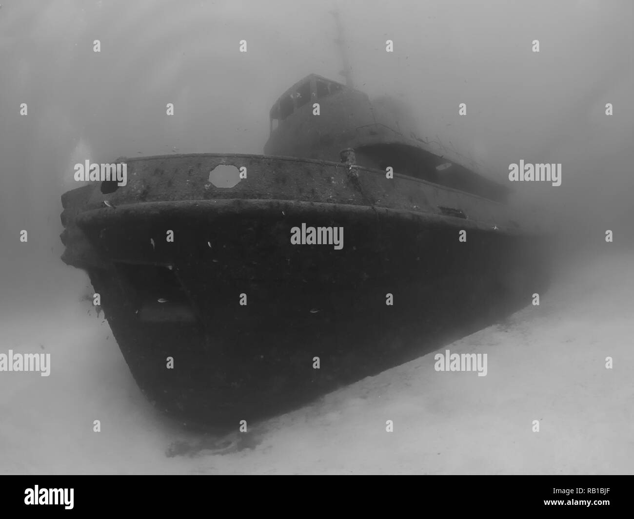 Wreck of the MV Rozi tugboat at Cirkewwa in Malta Stock Photo - Alamy