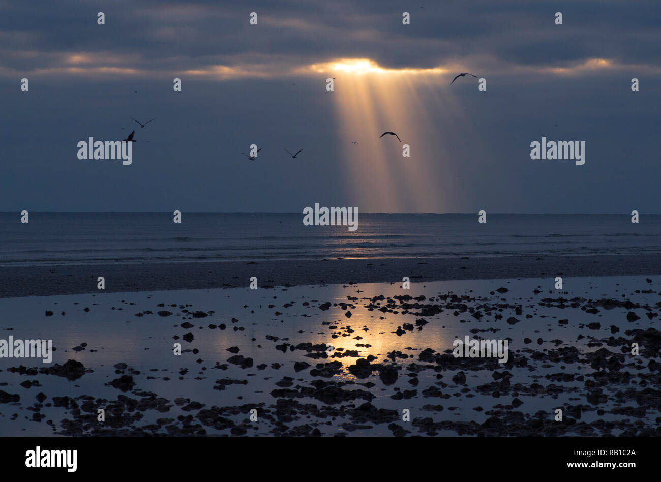 Birds fly across hi-res stock photography and images - Alamy