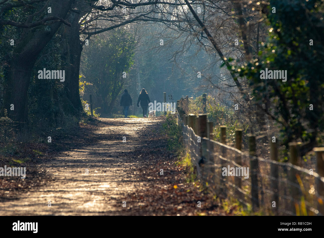 River meon titchfield hi-res stock photography and images - Alamy