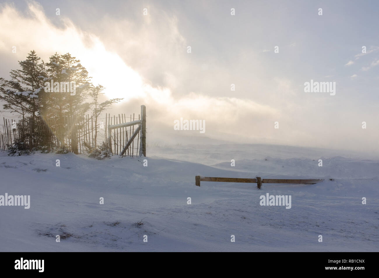 Winter storm blowing Stock Photo - Alamy