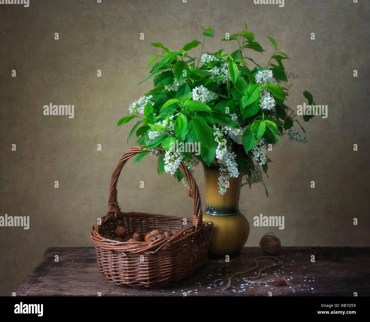 Still life flowers insects hi-res stock photography and images - Alamy