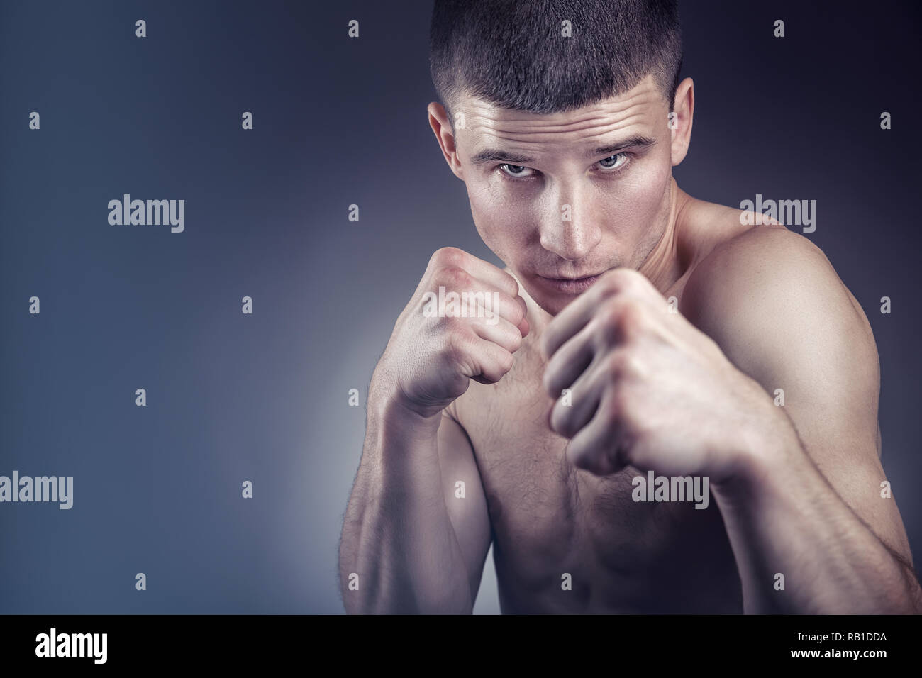 Boxer fighter hi-res stock photography and images - Alamy