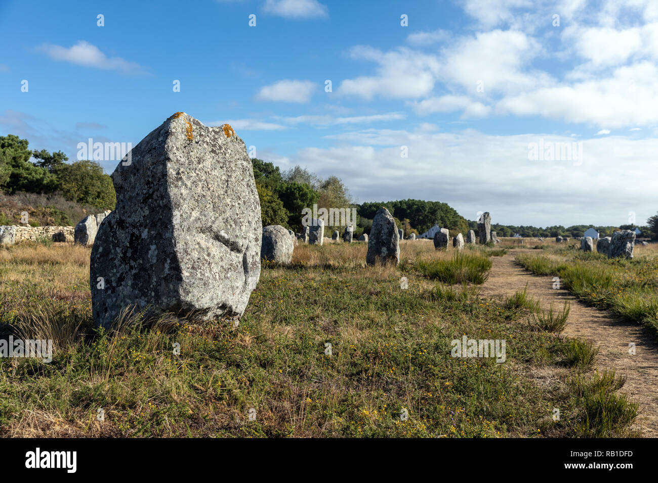 Megalithic site of Carnac (Morbihan, France Stock Photo - Alamy
