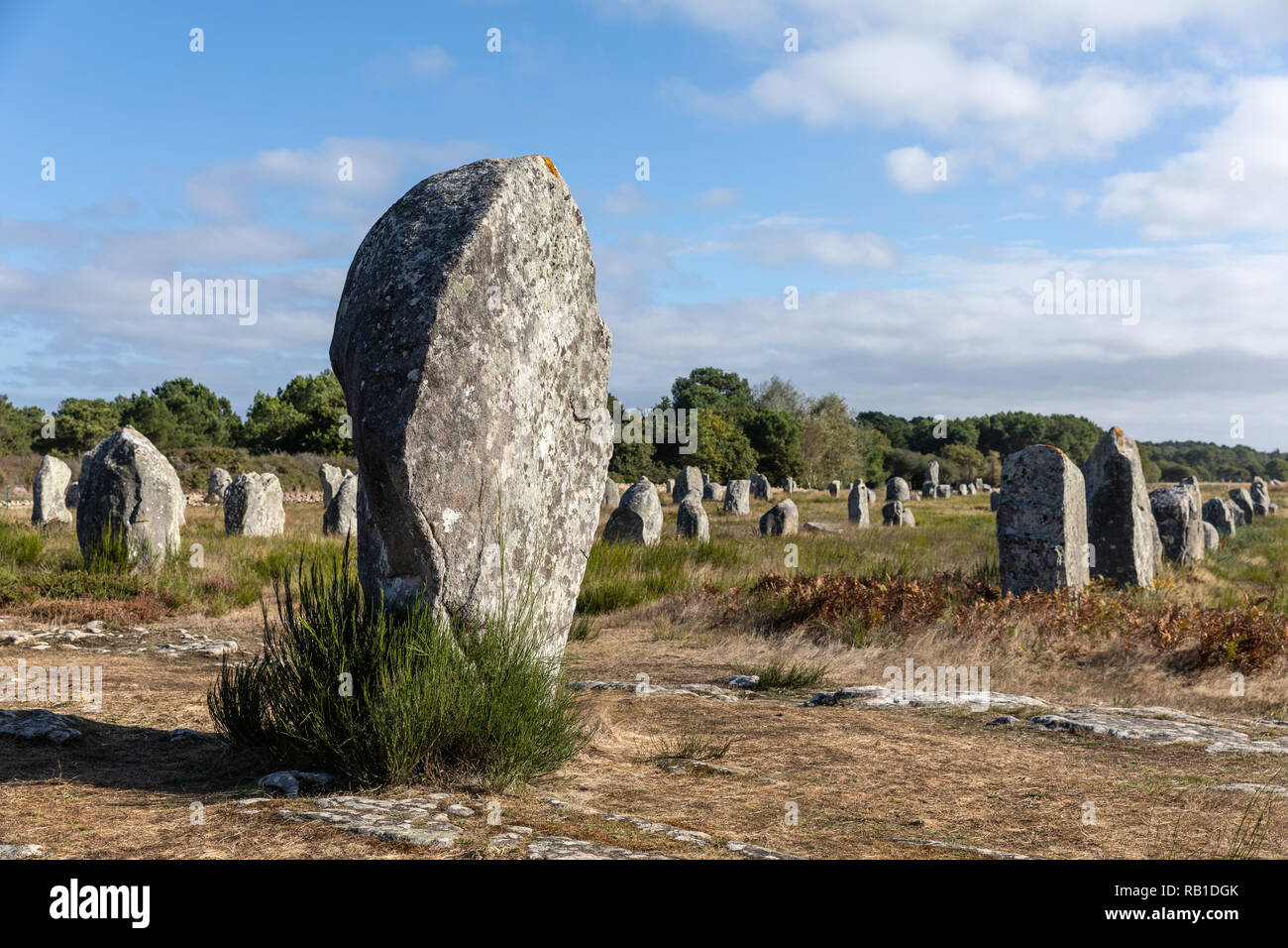Megalithic site of Carnac (Morbihan, France Stock Photo - Alamy