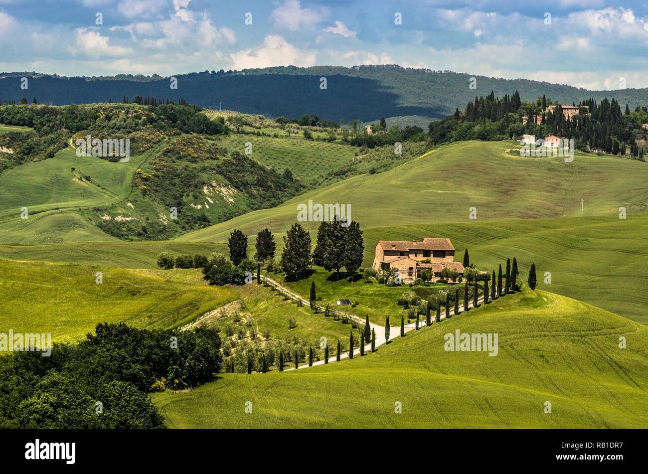 Beautiful panorama of the Crete Senesi in Tuscany, Italy Stock Photo ...