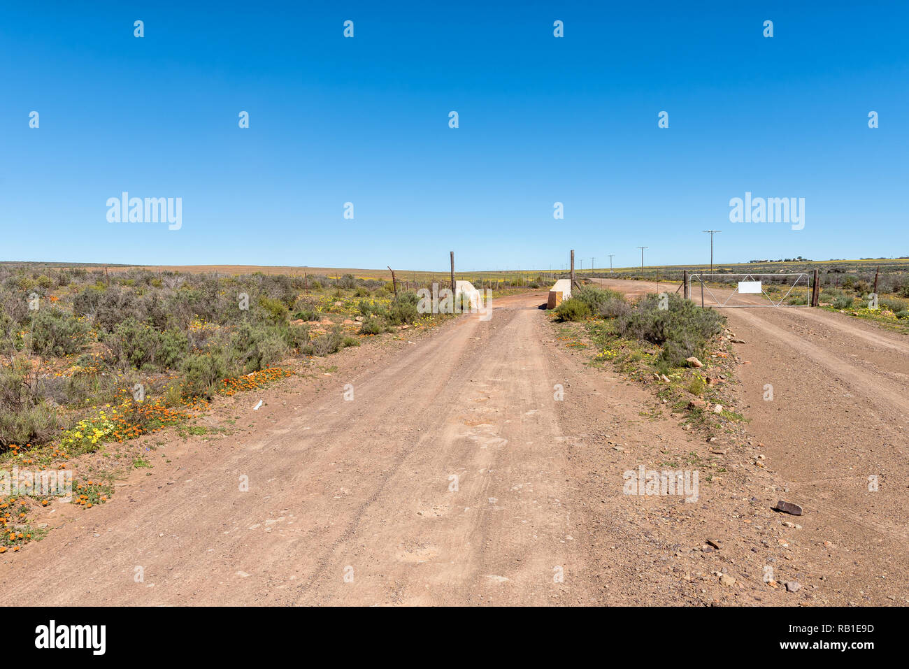 A cattle grid, gate and wildflowers near Papkuilsfontein in the Western ...