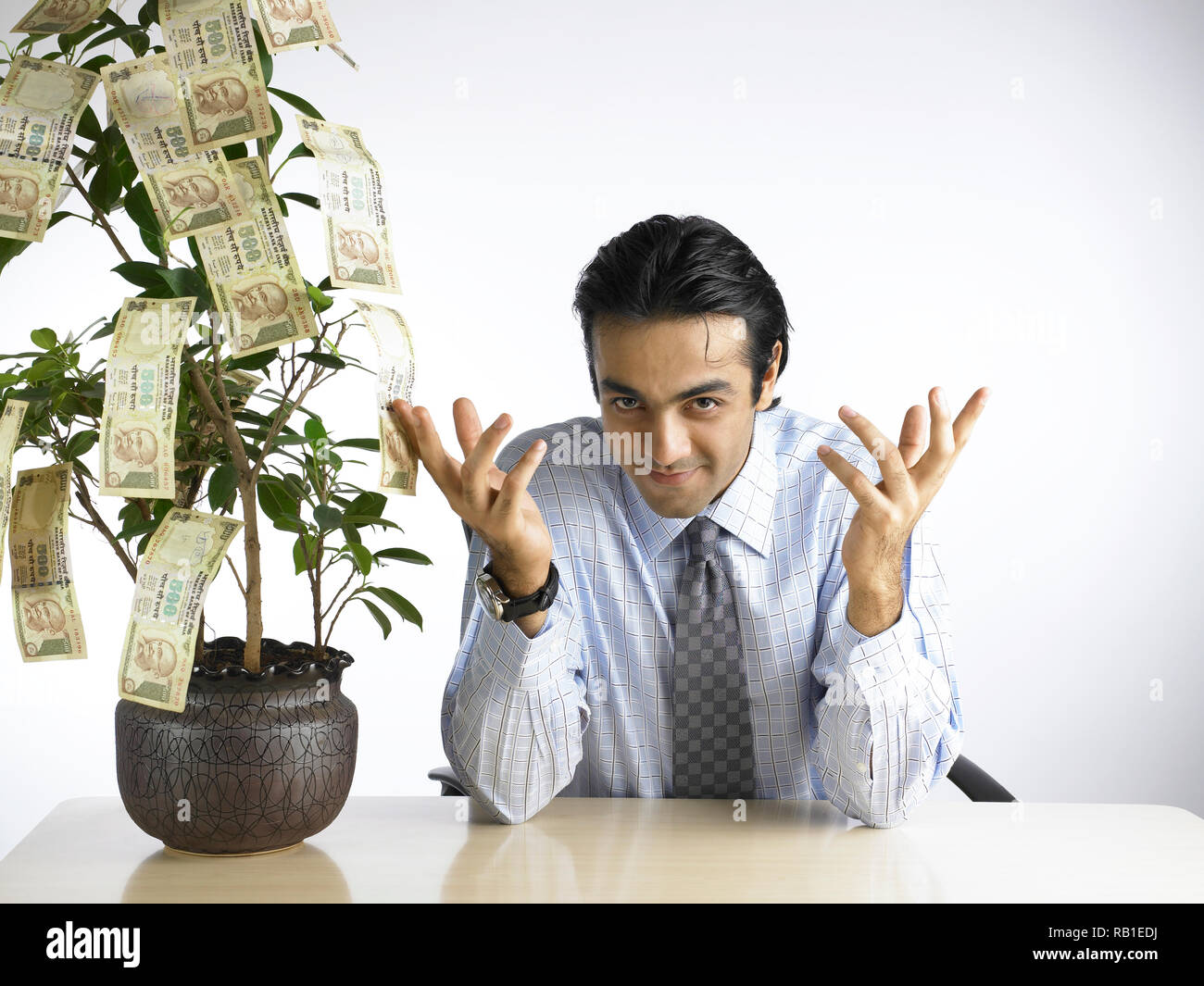 PORTRAIT OF A CORPORATE EXECUTIVE WITH A TREE OF MONEY Stock Photo - Alamy