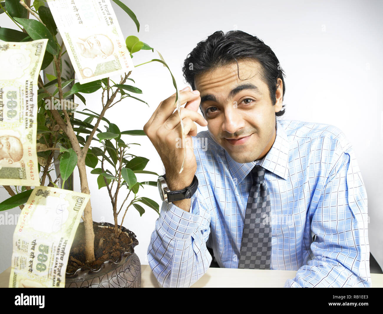 PORTRAIT OF A CORPORATE EXECUTIVE WITH A TREE OF MONEY Stock Photo - Alamy