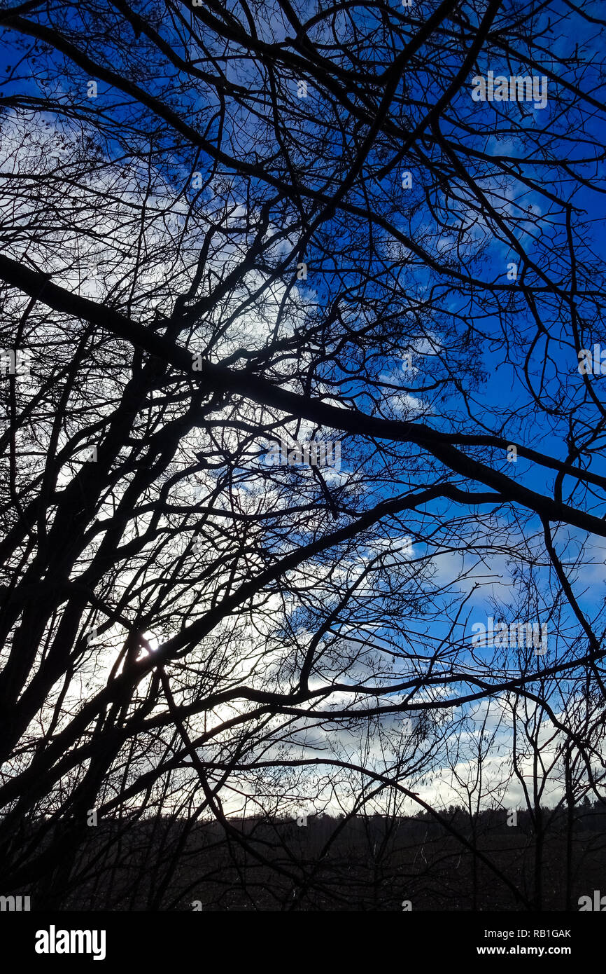 Crisp bright hi-res stock photography and images - Alamy