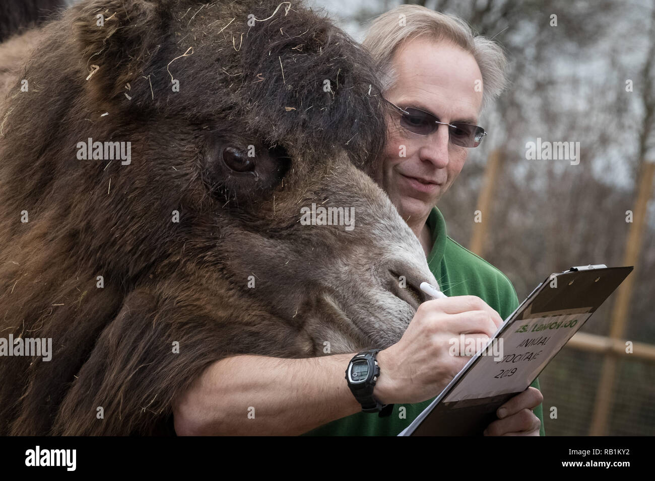 Annual Animal Stocktake at ZSL London Zoo begins. It takes almost a ...