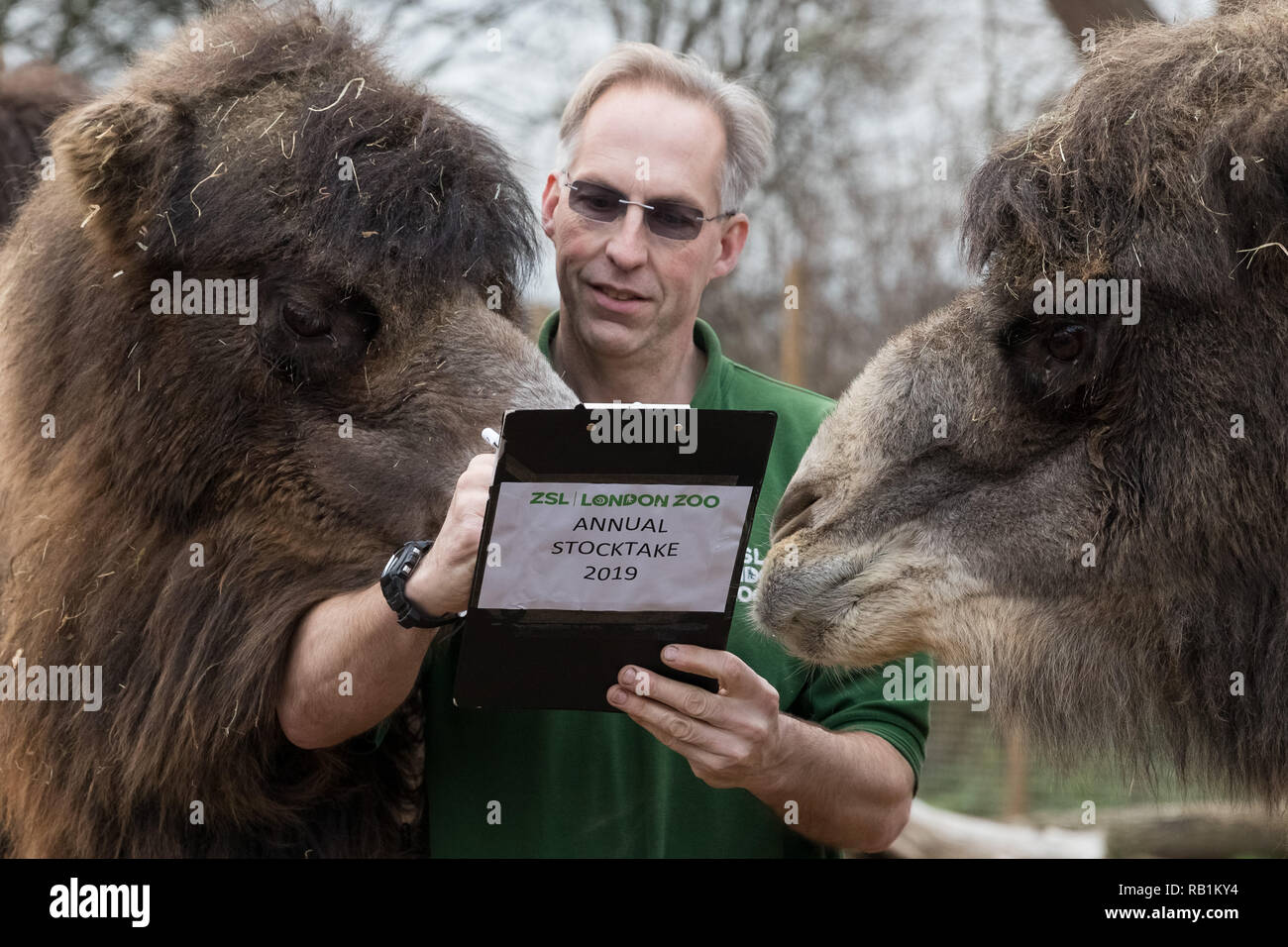 Annual Animal Stocktake at ZSL London Zoo begins. It takes almost a ...