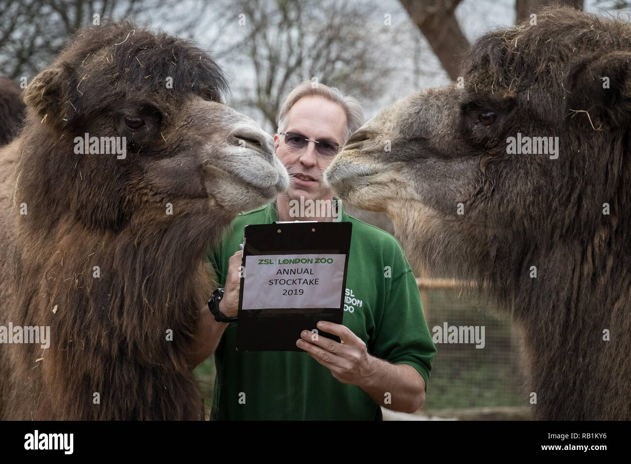 Annual Animal Stocktake at ZSL London Zoo begins. It takes almost a ...