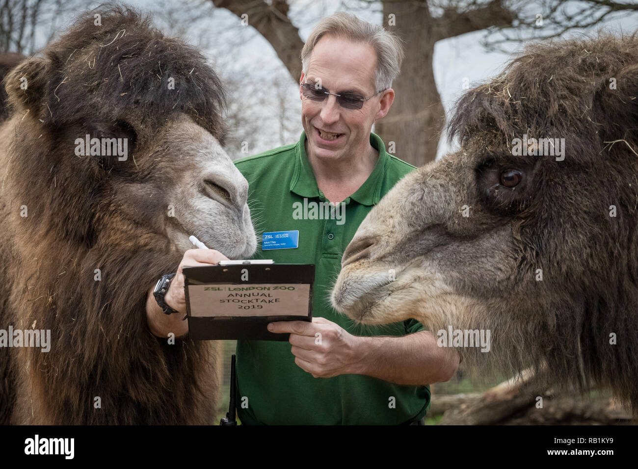 Annual Animal Stocktake at ZSL London Zoo begins. It takes almost a ...