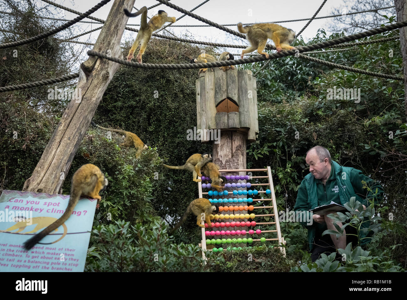 Annual Animal Stocktake at ZSL London Zoo begins. It takes almost a ...