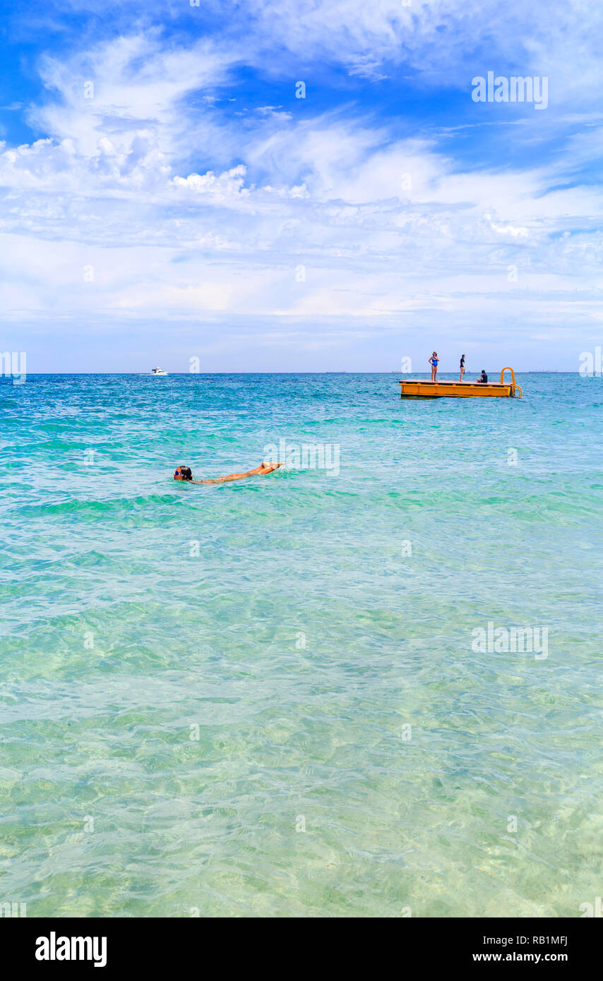 A woman swimming near the floating pontoon at South Beach Stock Photo ...