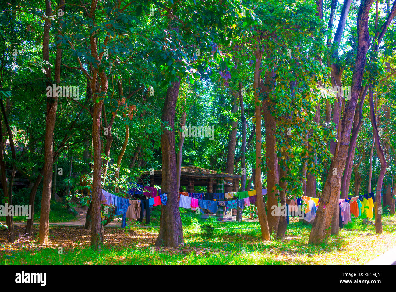 Thai daily life in Bangkok, Thailand. Thailand is known as a country ...