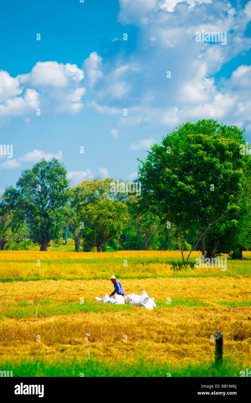 Thai daily life in Bangkok, Thailand. Thailand is known as a country ...