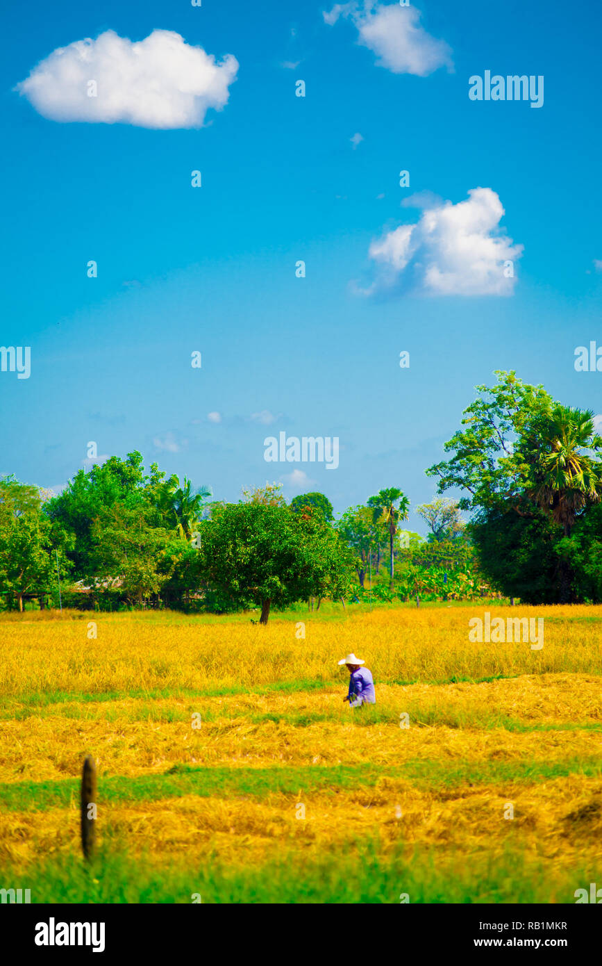 Thai daily life in Bangkok, Thailand. Thailand is known as a country ...