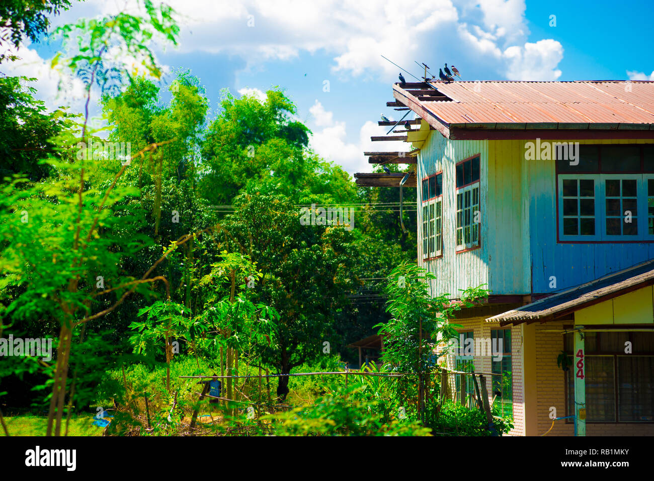 Thai daily life in Bangkok, Thailand. Thailand is known as a country ...