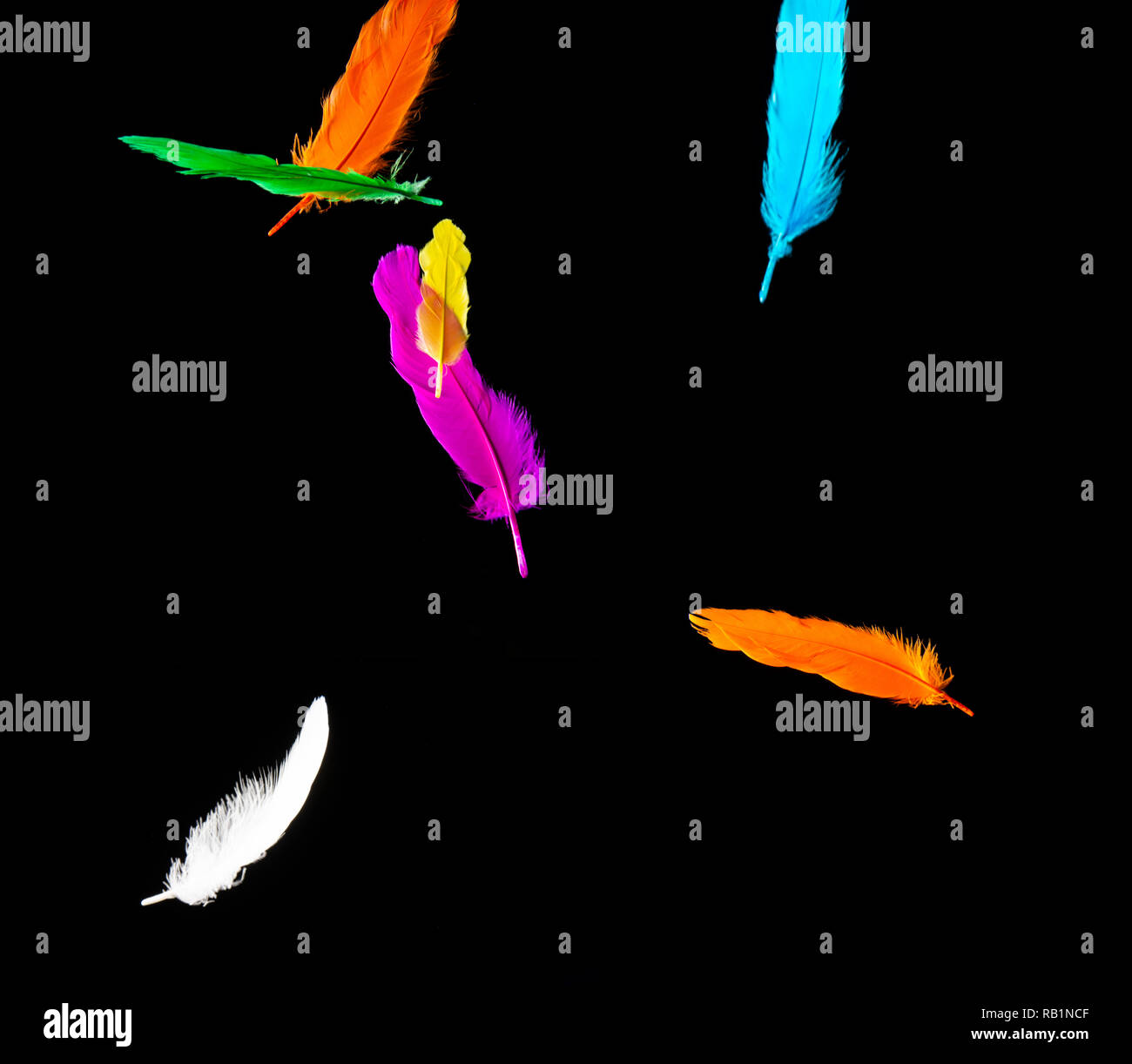 colorful feathers falling Stock Photo - Alamy