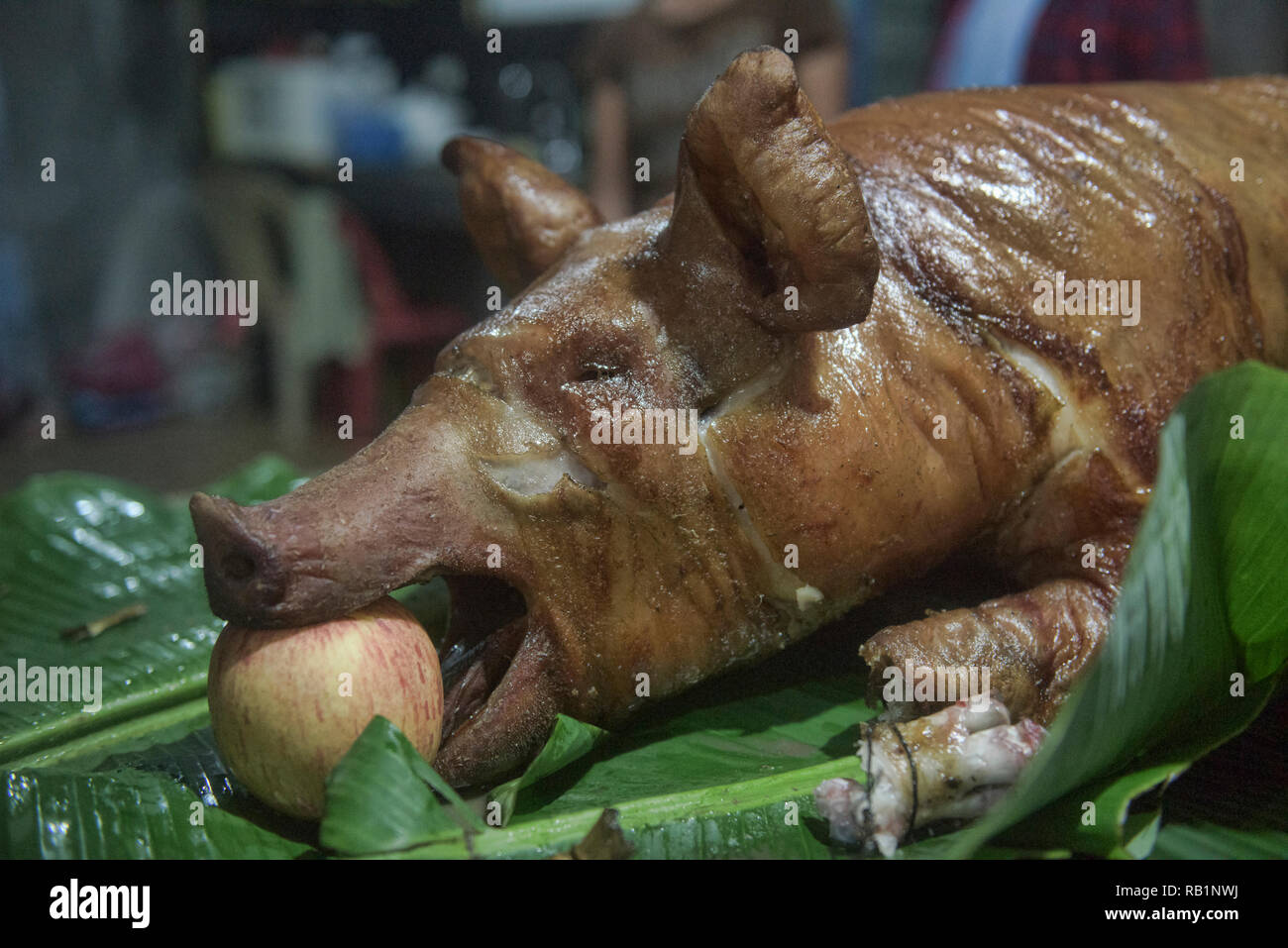 Lechón, entire roasted pig, a holiday tradition in the Philippines ...