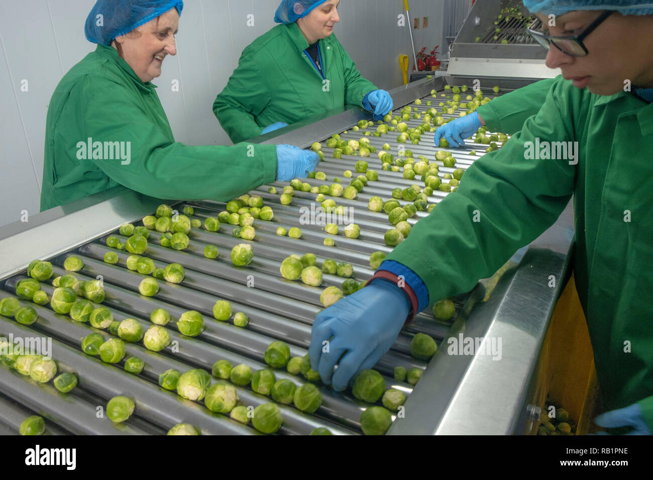 Production line hi-res stock photography and images - Alamy