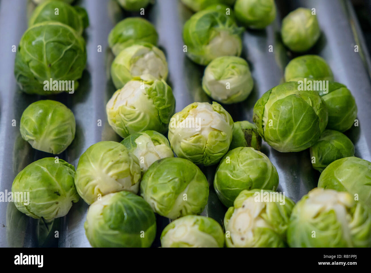 Production line of Brussel Sprouts in factory Stock Photo - Alamy