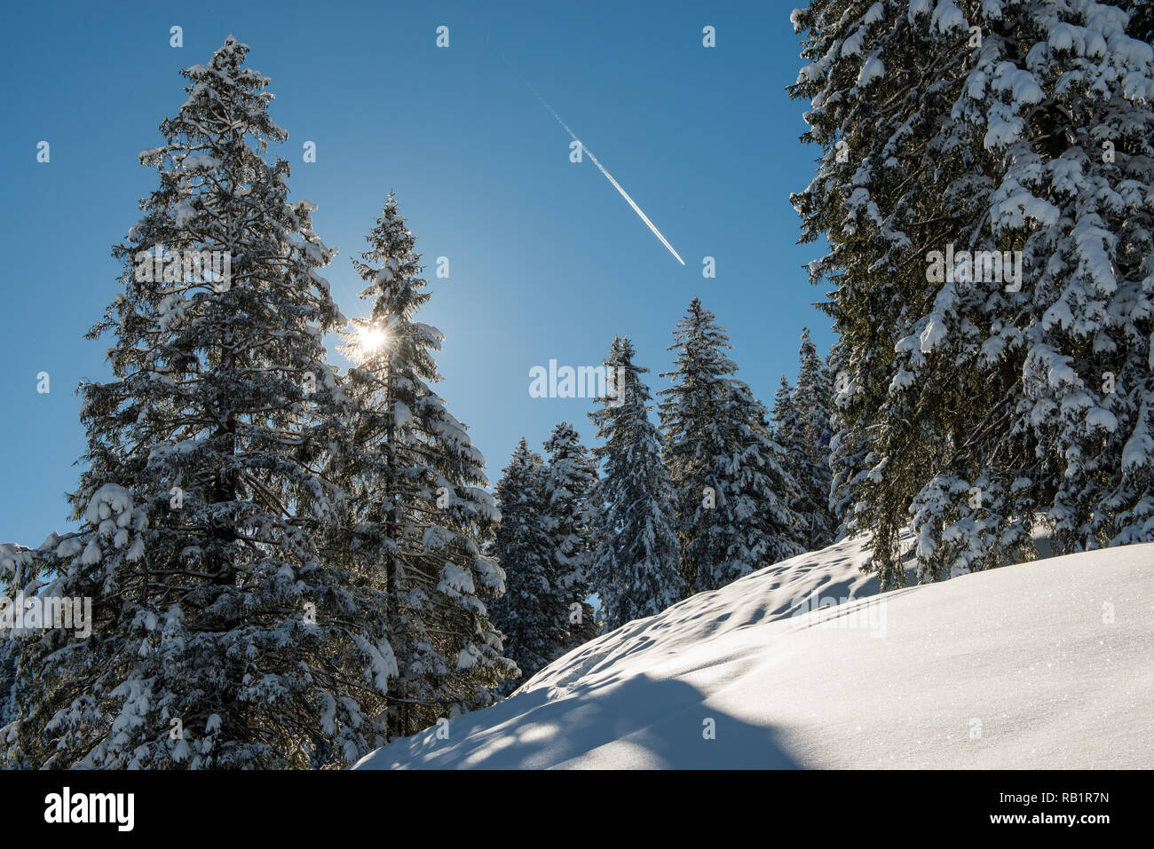 Back view winter scenery hi-res stock photography and images - Alamy