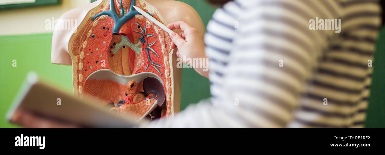 Young female teacher in biology class, holding digital tablet and ...
