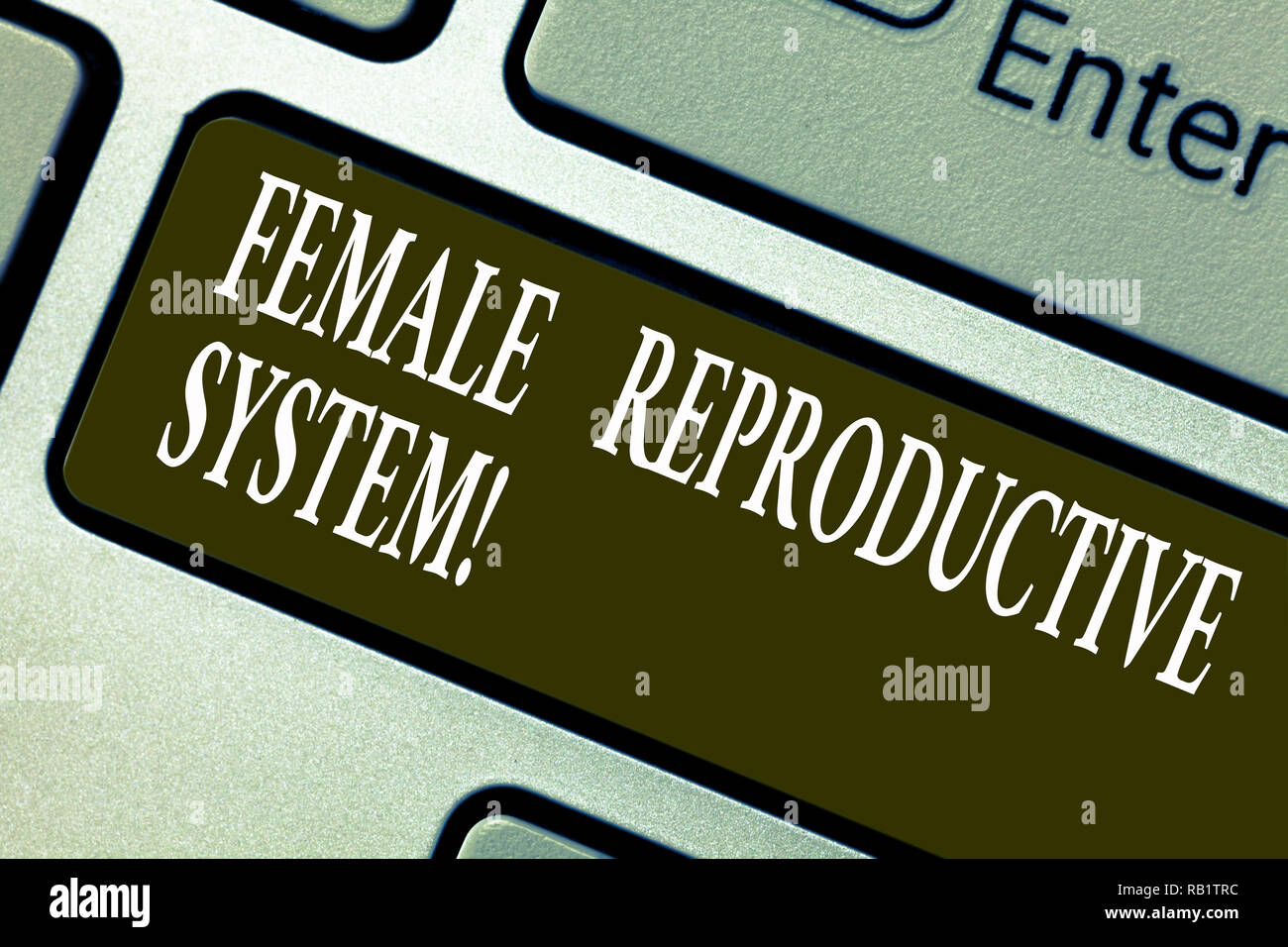 Handwriting text writing Female Reproductive System. Concept meaning ...