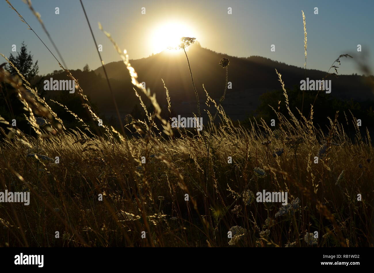 Inspirational setting hi-res stock photography and images - Alamy