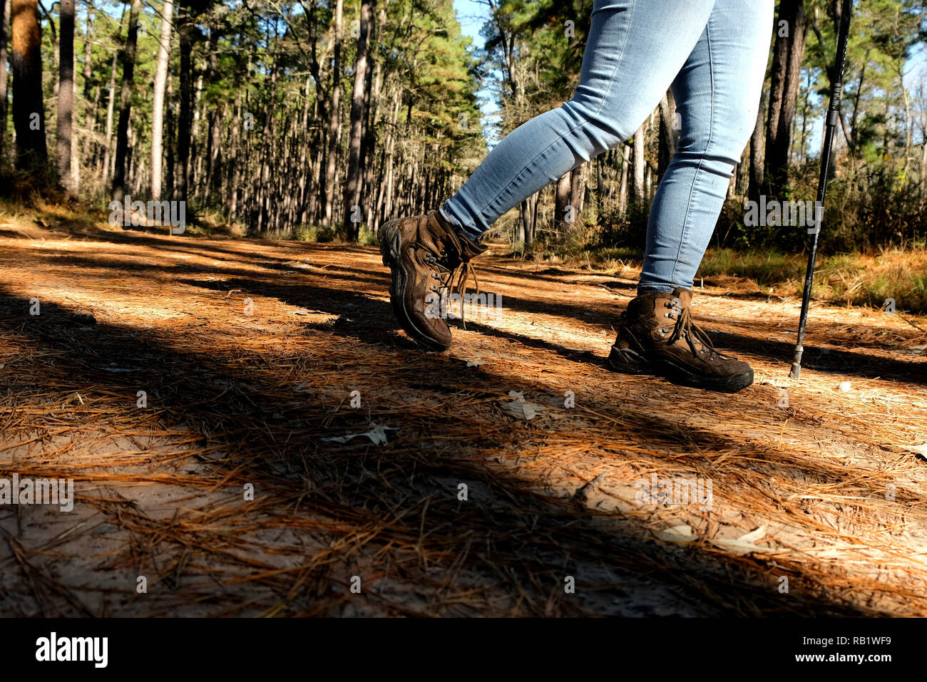 Close up of a female hiker's legs hi-res stock photography and images ...