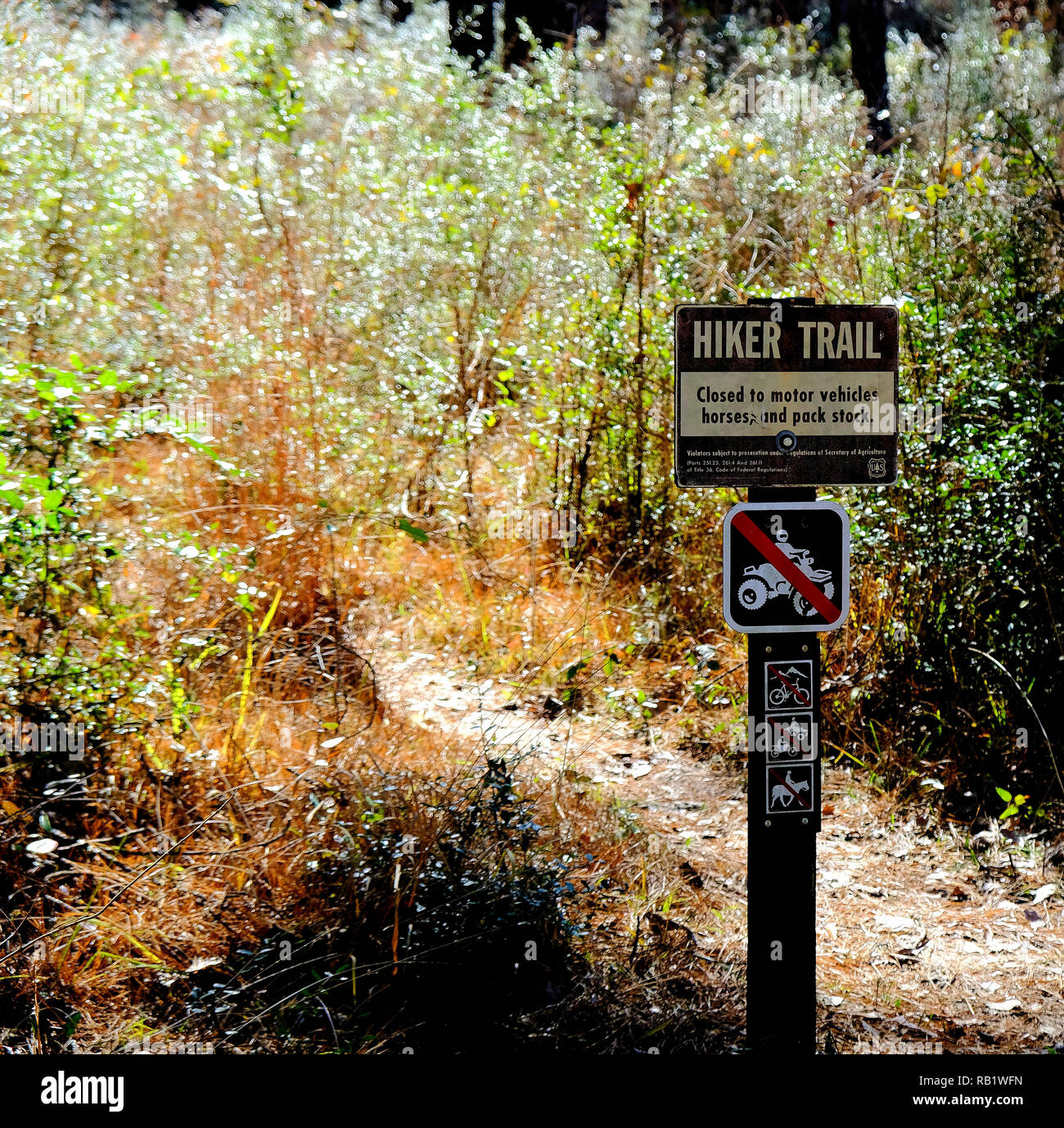 Sam houston national forest texas hi-res stock photography and images ...