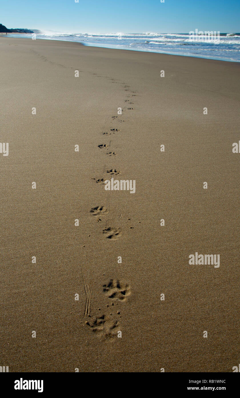 Beach roads hi-res stock photography and images - Alamy